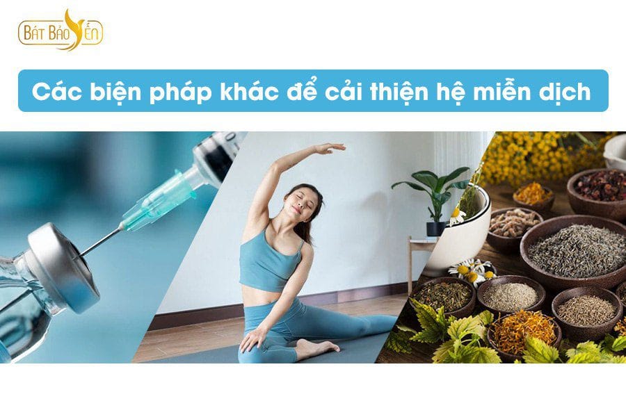 Cải thiện hệ miễn dịch trong cơ thể | Bát Bảo Yến